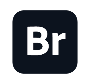 Free High-Quality Adobe Bridge logo Vector for Creative Design
