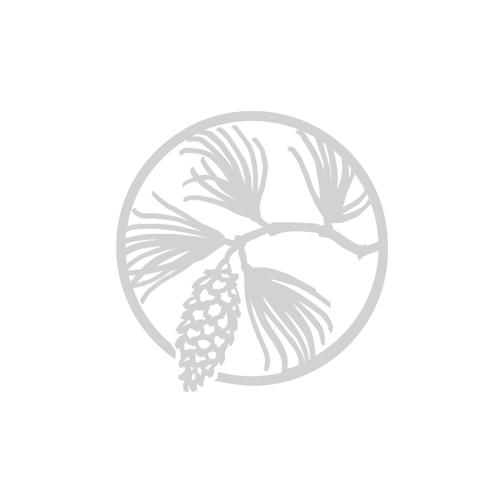 Free High-Quality Alma College Logo Svg for Creative Design