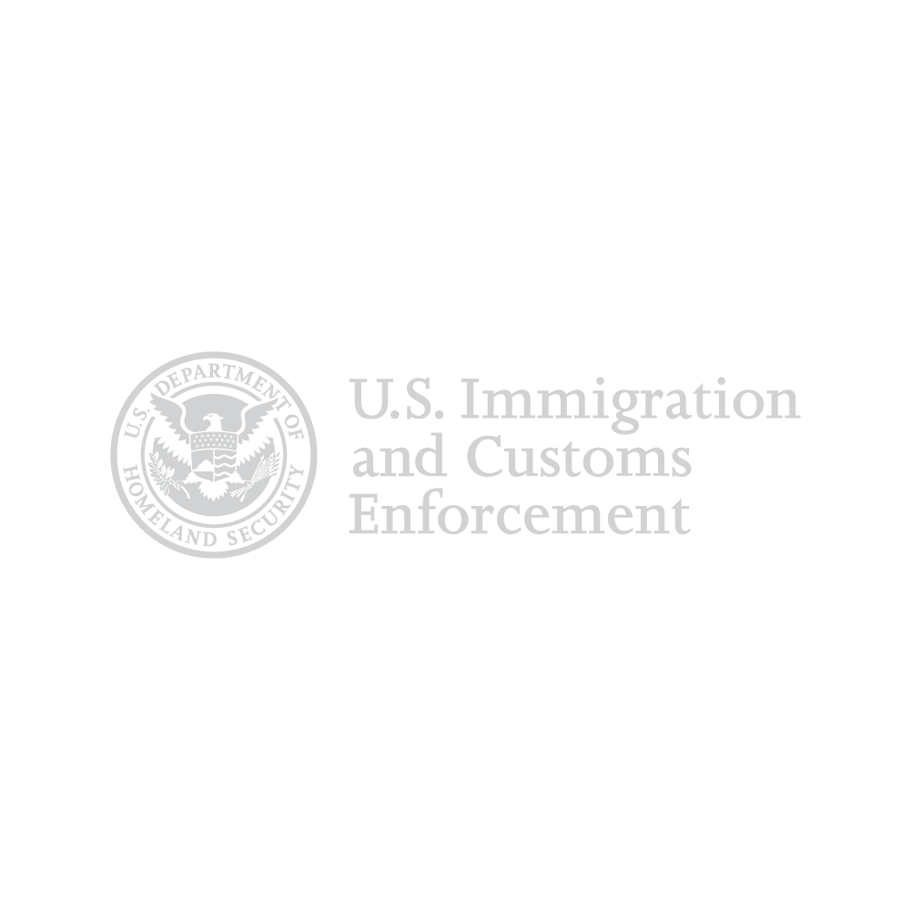 Free High-Quality Ice Government Logo Vector for Creative Design