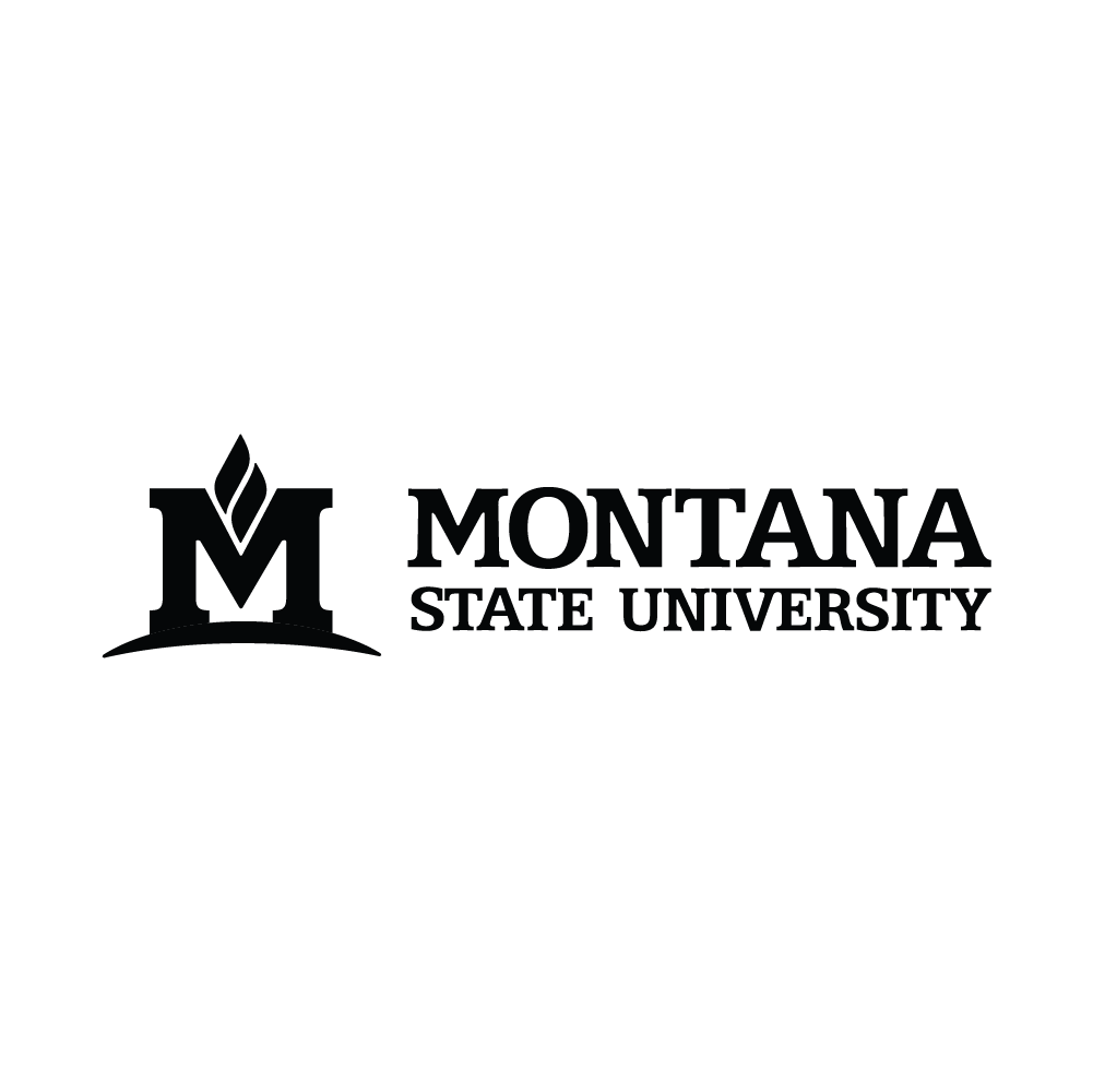 Free High-Quality Montana State University Logo Png for Creative Design