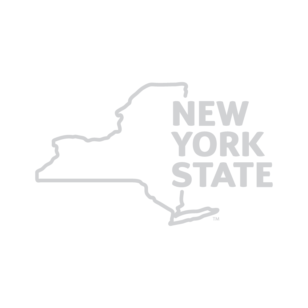 Free High-Quality New York State State Government Logo Vector for ...
