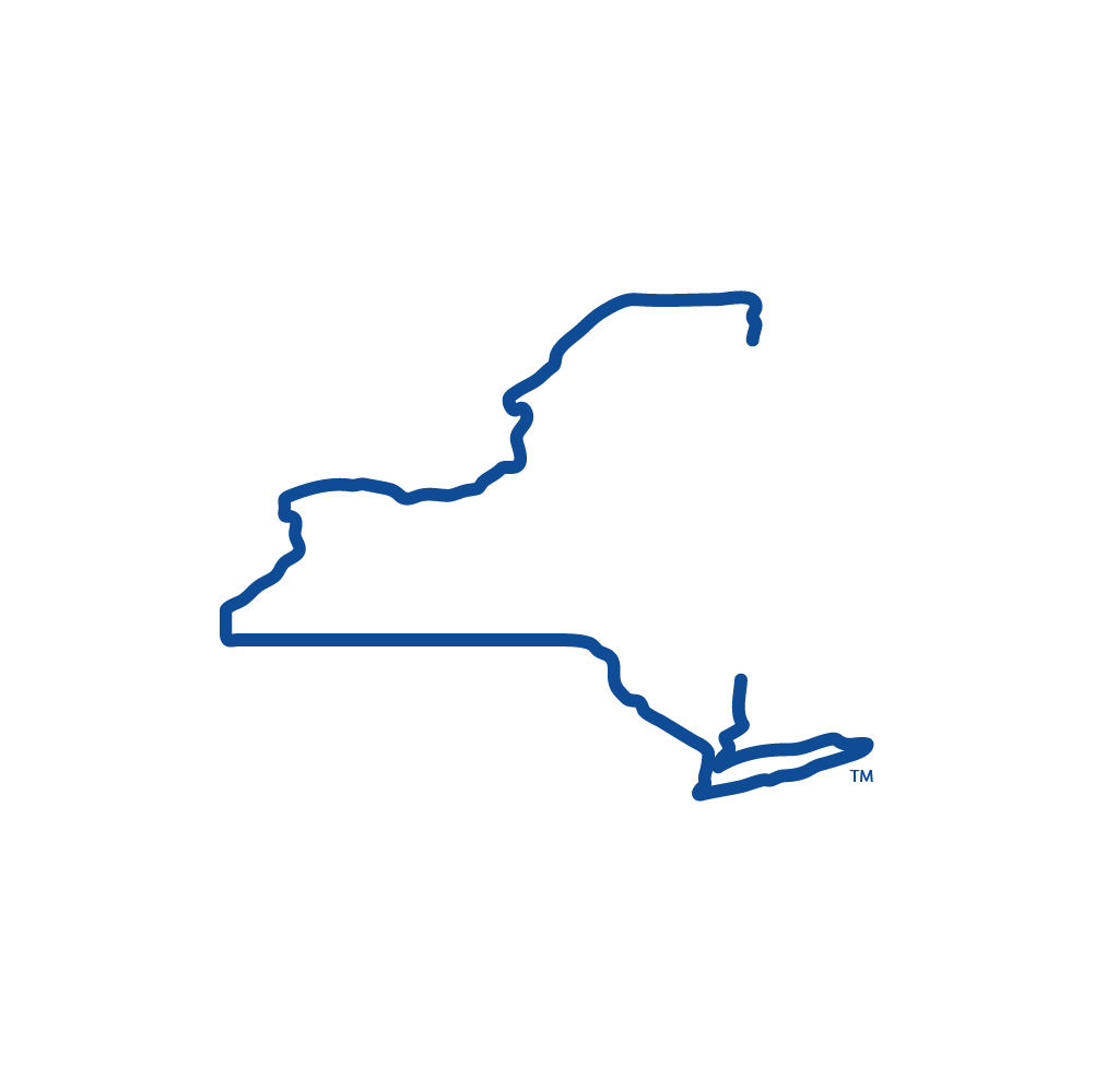 Free High-Quality New York State State Government Logo Transparent for ...