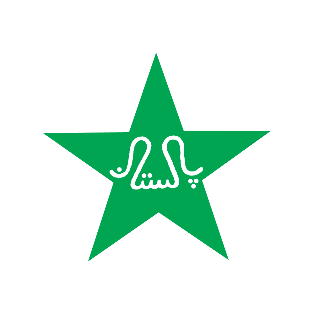 Free High-Quality (PCB) Pakistan cricket Logo for Creative Design