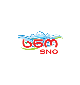 Free High-Quality SNO Logo for Creative Design