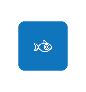 Free High-Quality Snapfish round icon for Creative Design