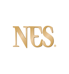 Free High-Quality Nintendo Entertainment System (NES) Logo for Creative ...