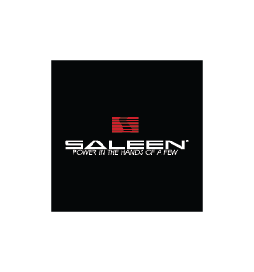Free High-Quality SALEEN Logo for Creative Design