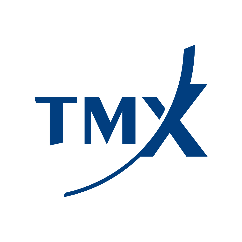 Free High-Quality TMX Group Logo for Creative Design