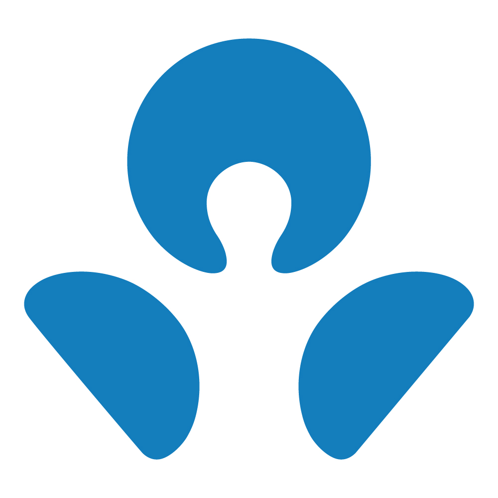 Free High-Quality ANZ Icon for Creative Design