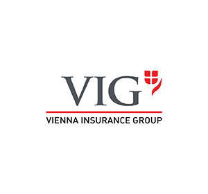Download Vienna Insurance Group logo in SVG Vector or PNG
