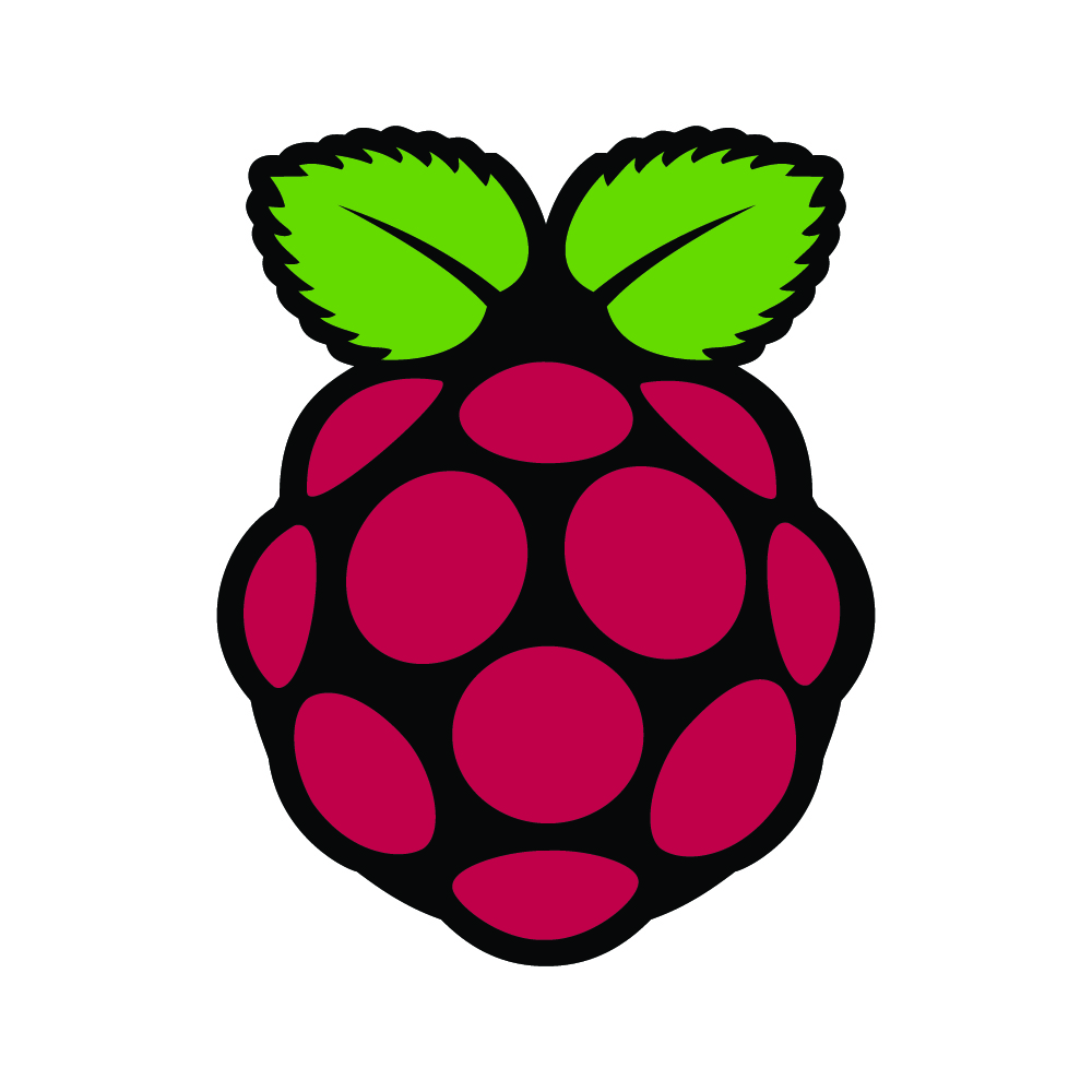 Free High-Quality Rasberry Pi Logo for Creative Design