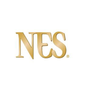 Free High-Quality Nintendo Entertainment System (NES) Logo for Creative ...