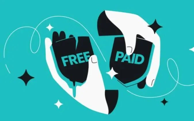 Free vs Premium: Which Vector Option is Best for You in 2025?