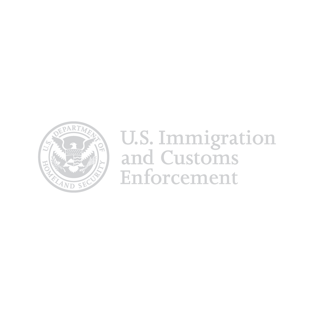 Free High-Quality Ice Government Logo Vector for Creative Design