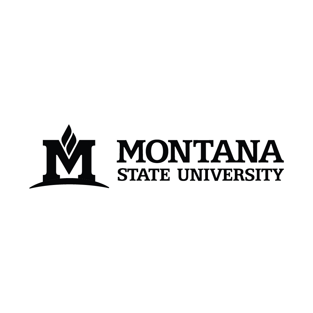 Free High-Quality Montana State University Logo Png for Creative Design