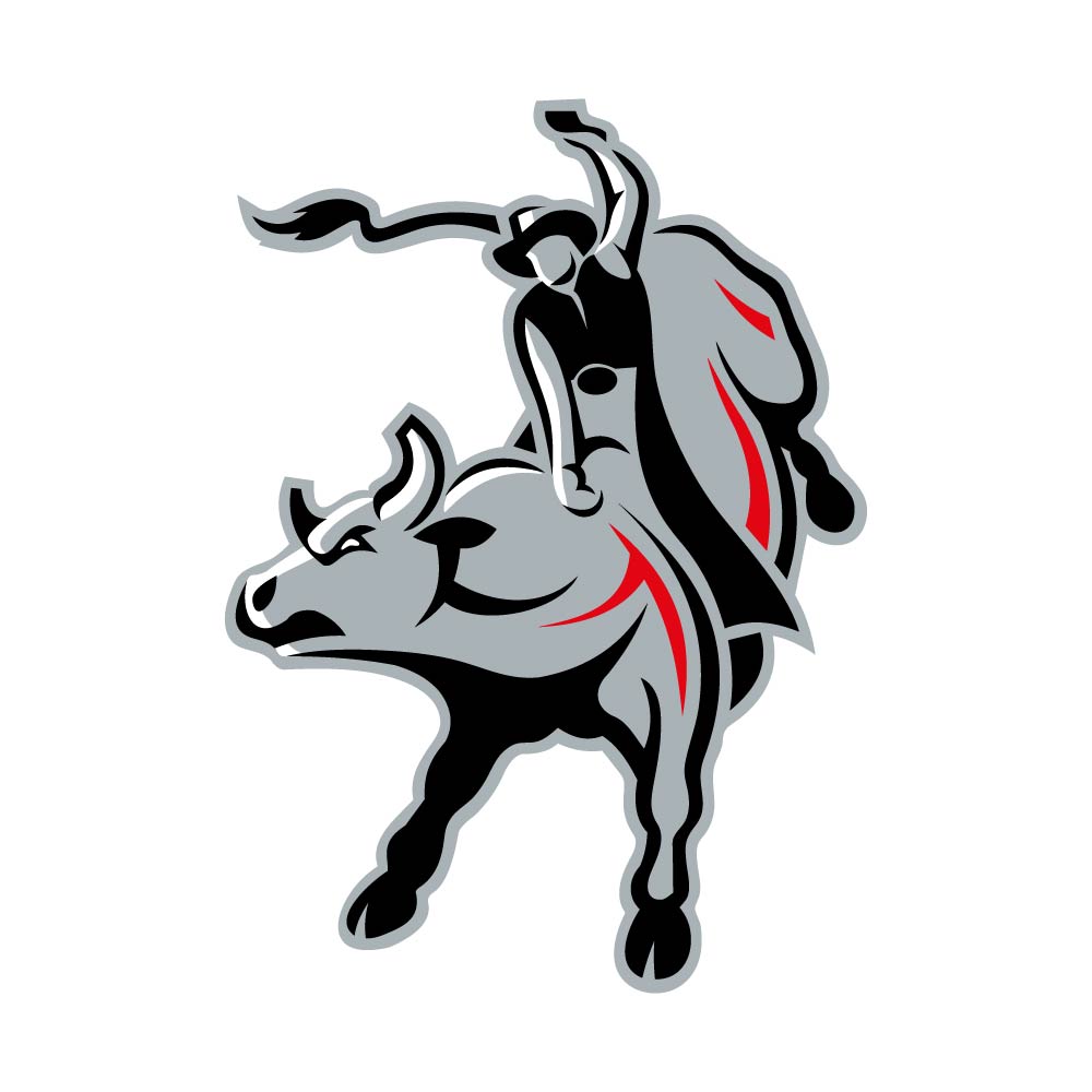 Free High-Quality PBR Touro Logo for Creative Design