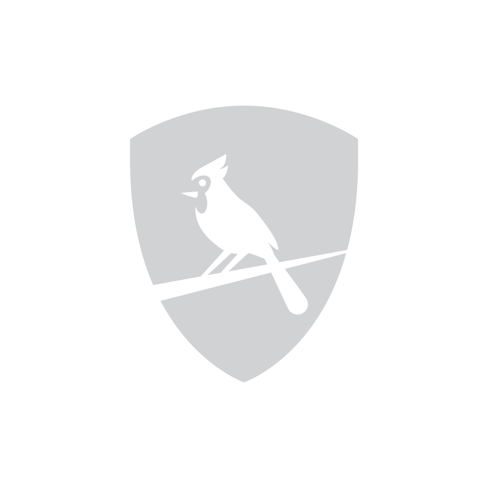 Free High-Quality York College Logo Svg for Creative Design