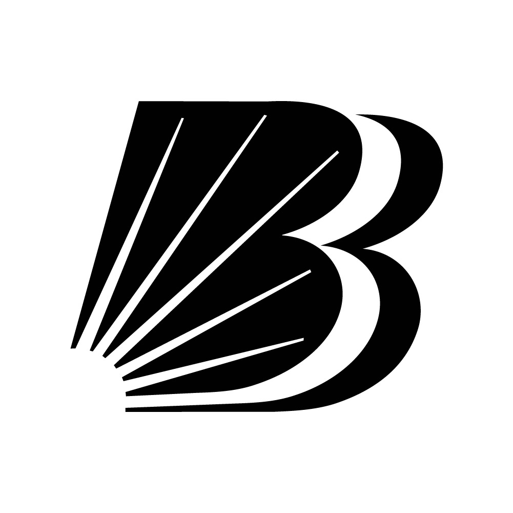 Bank of Baroda Logo Icon: A Comprehensive Guide to Iconic Branding