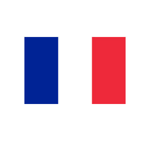 Download French Flag Vector in SVG Vector or PNG