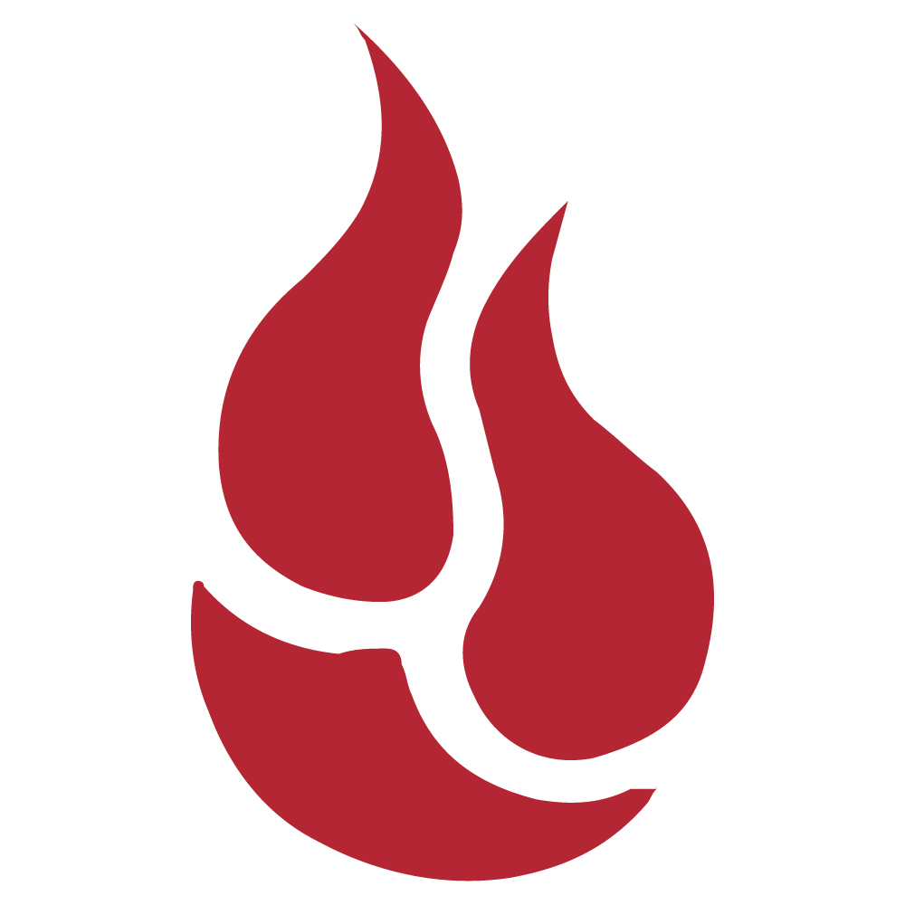 Free High-Quality Backblaze Icon for Creative Design