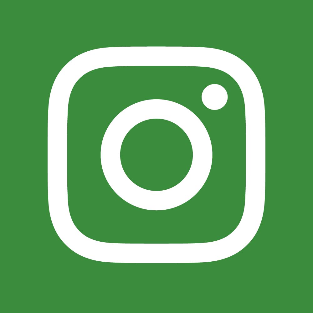 Free High-Quality Instagram Logo Png Green Background for Creative Design