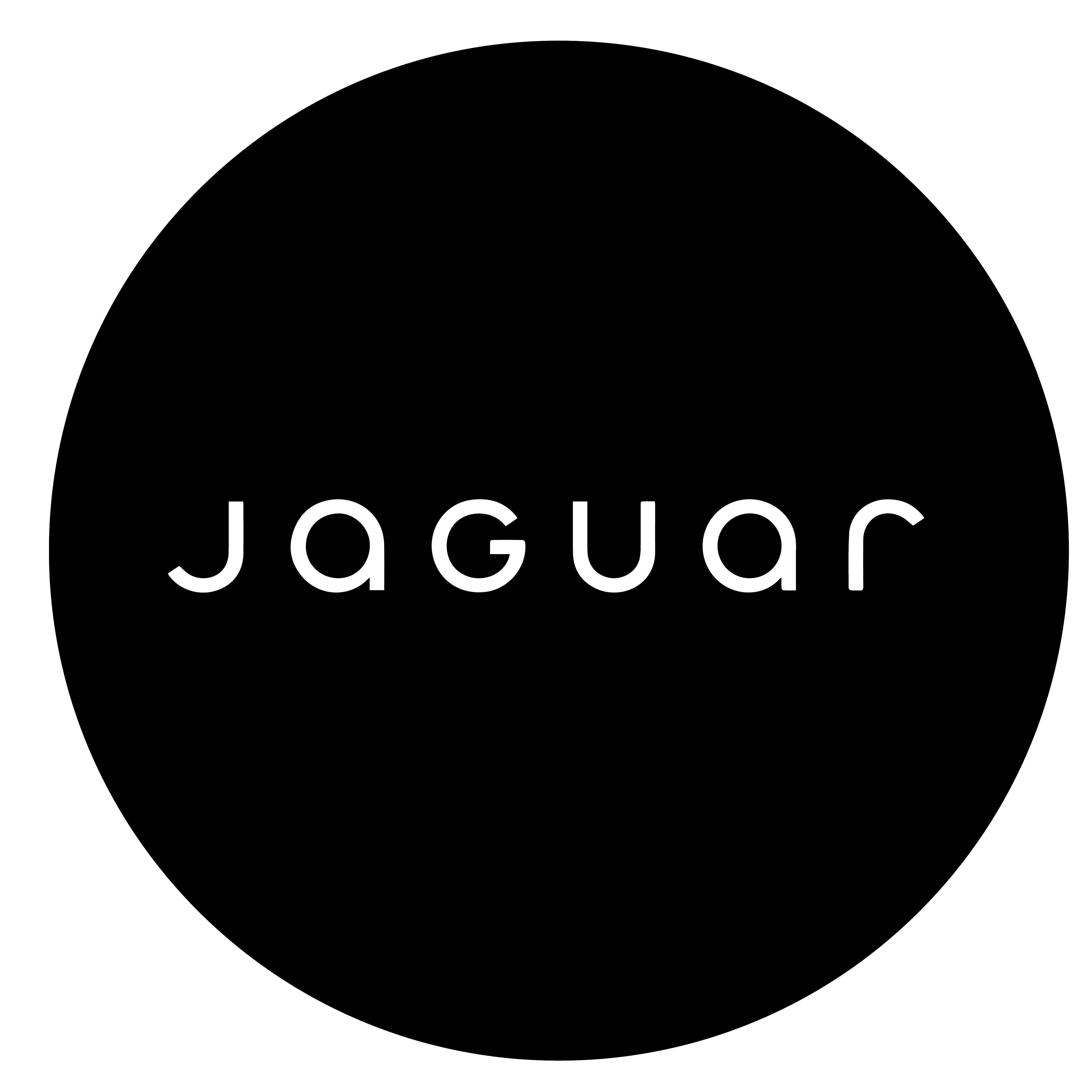 Jaguar Logo 2024 – New Jaguar Logo Formats for Download