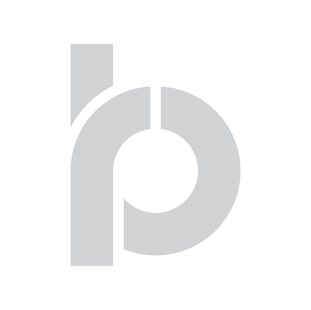 RBL Bank Logo SVG: The Modern Vector Logo for Versatile Branding