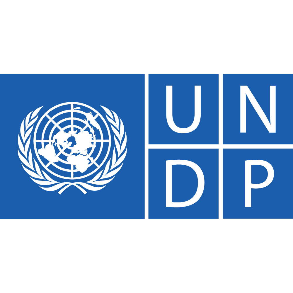 Free High-Quality undp logo vector for Creative Design